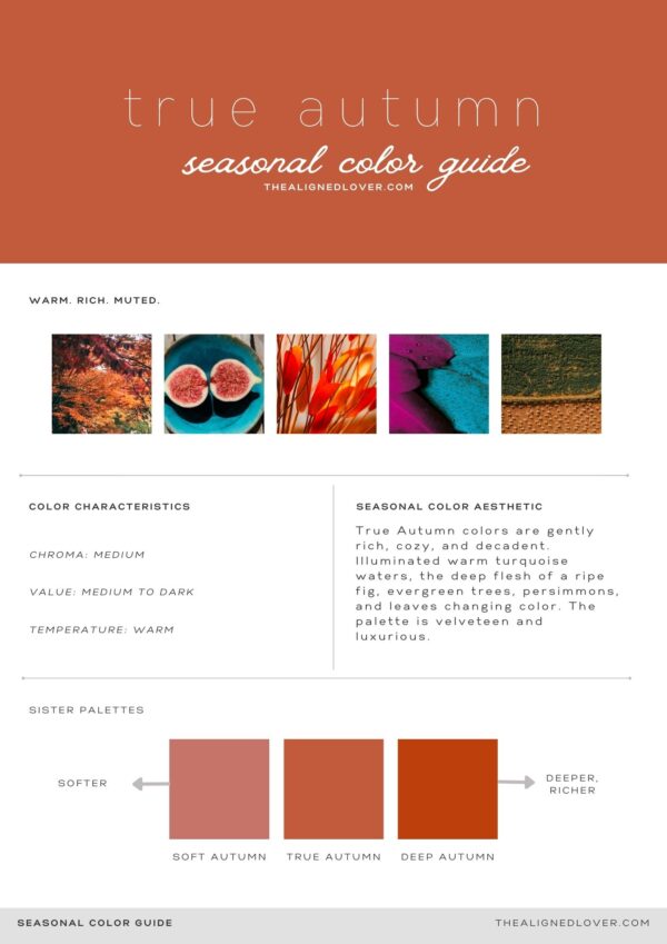 Guide to the True Autumn Seasonal Color Palette | The Aligned Lover