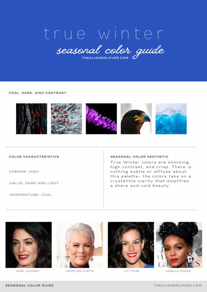 Guide to the True Winter Seasonal Color Palette | The Aligned Lover