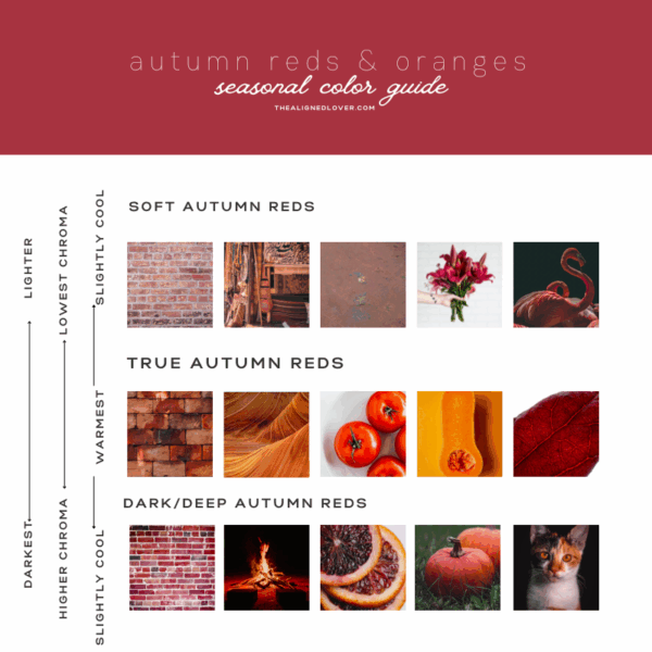 Exploring the Autumn Subseasons in the 12 Seasonal Color System: Soft ...