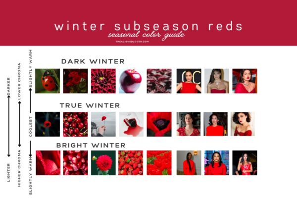 Exploring the Winter Color Palettes: Dark, True, and Bright Winter ...