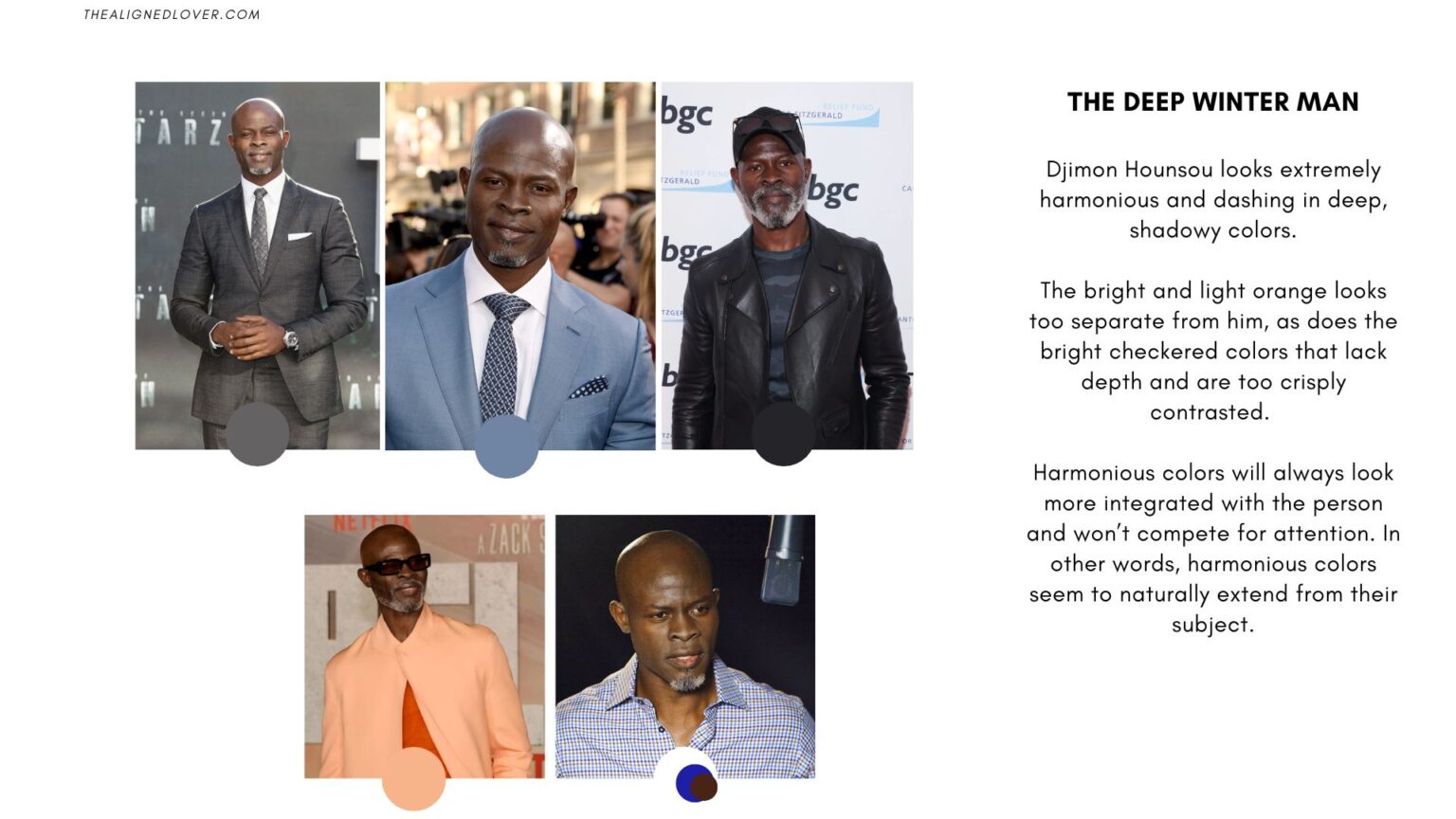 Deep Winter: Seasonal Color Analysis for Men | The Aligned Lover